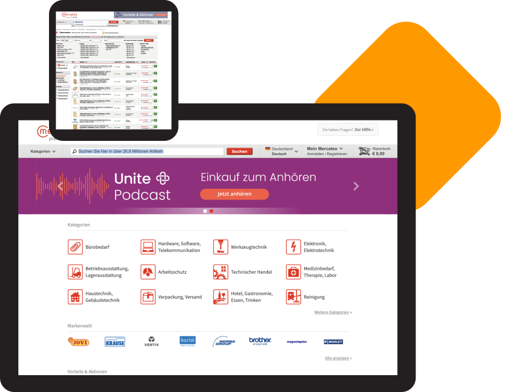 Mercateo interface - connection to the B2B marketplace
